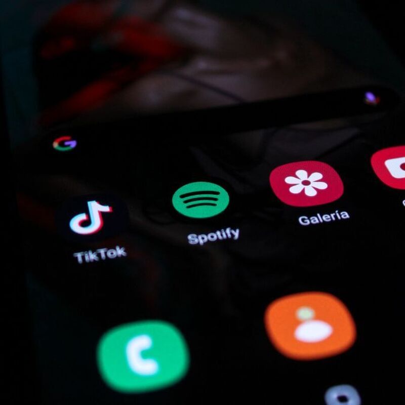 Why Everyone is Talking About Tiktok Project V